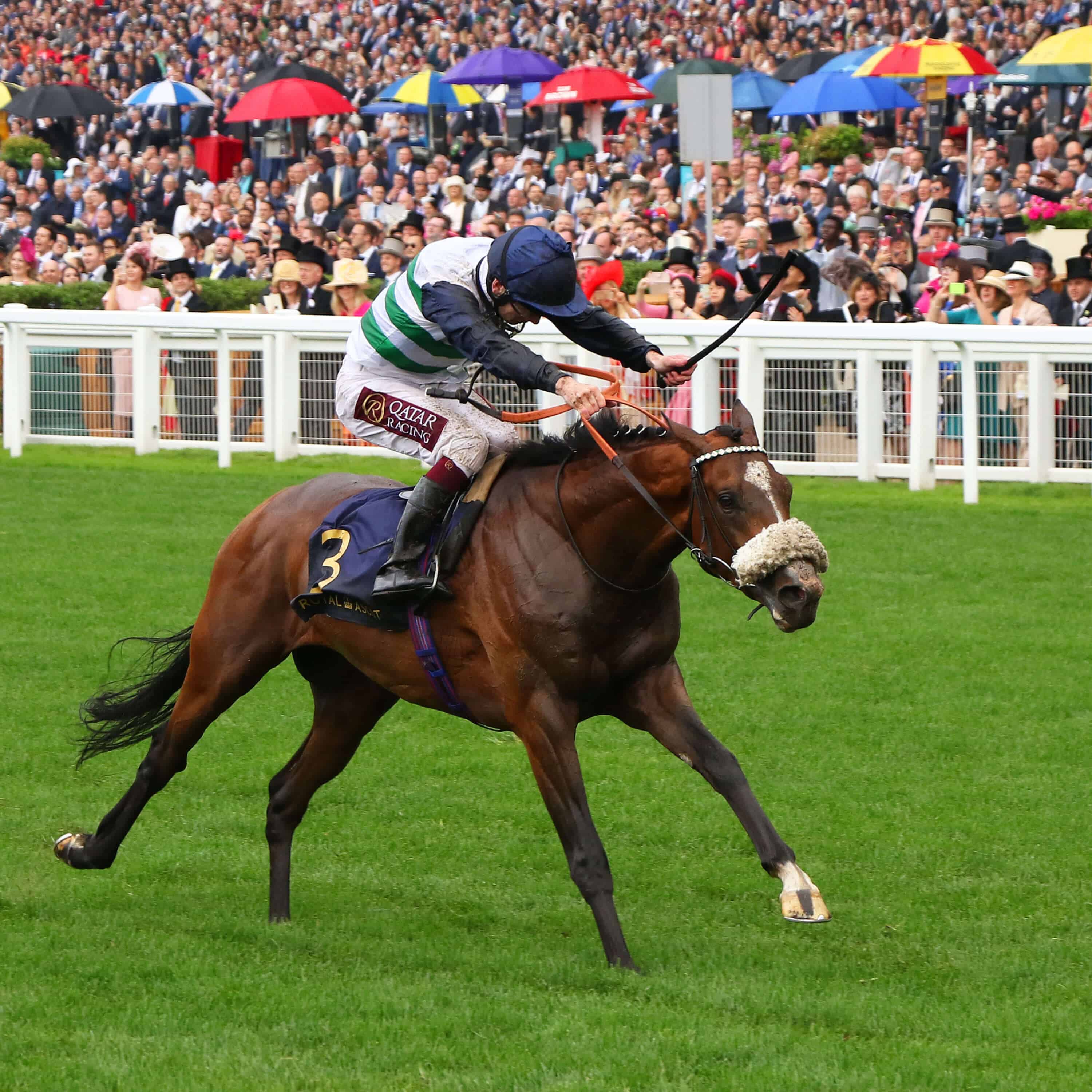 Dashing son of Nathaniel adds more Stakes success to his form ...