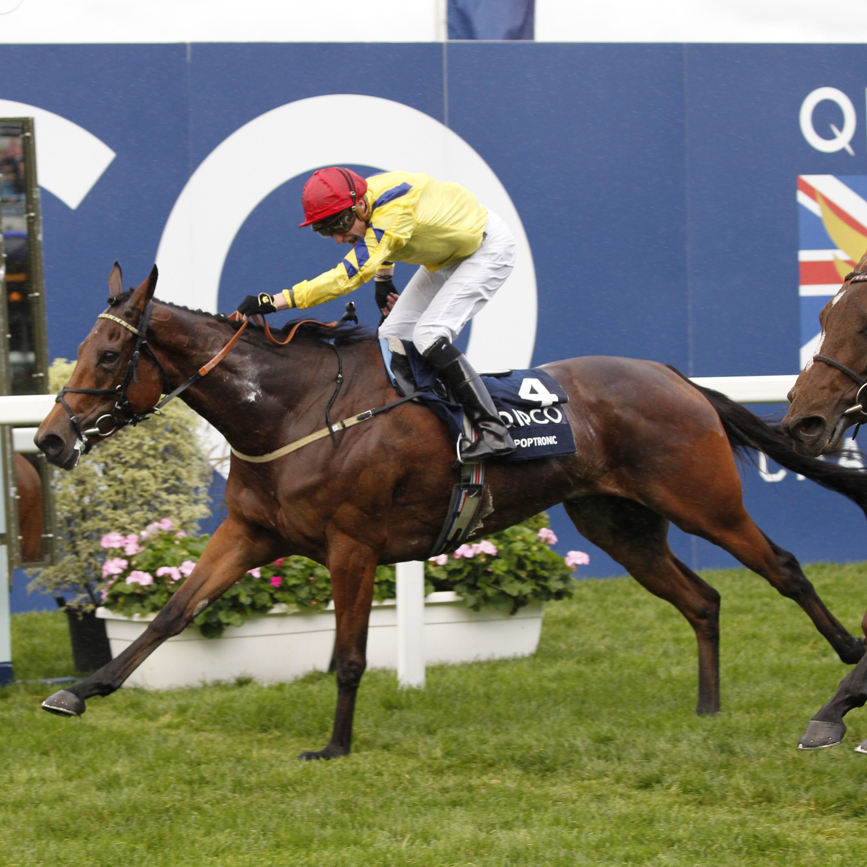 Poptronic provides another new Gr.1 winner for Nathaniel in 2023 ...