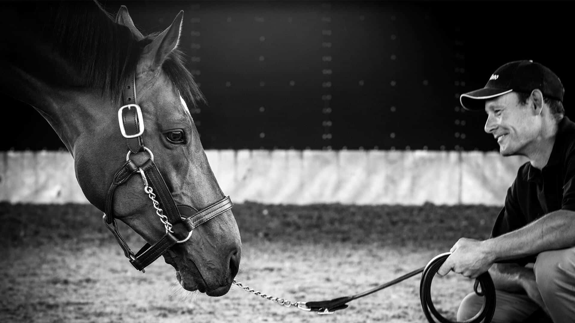 Stallion man David Porter-Mackrell wins TIEA Employee of the Year Award ...